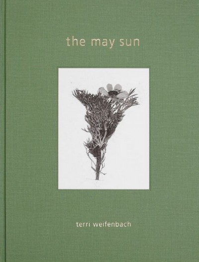 写真集レビュー